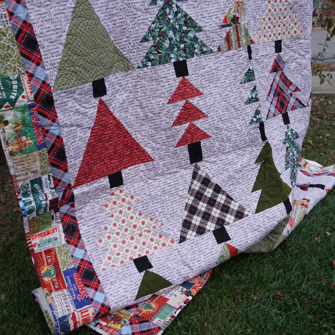 TIM HOLTZ - WONDERLAND - WINTER DREAM QUILT KIT – Artistic Quilts with ...