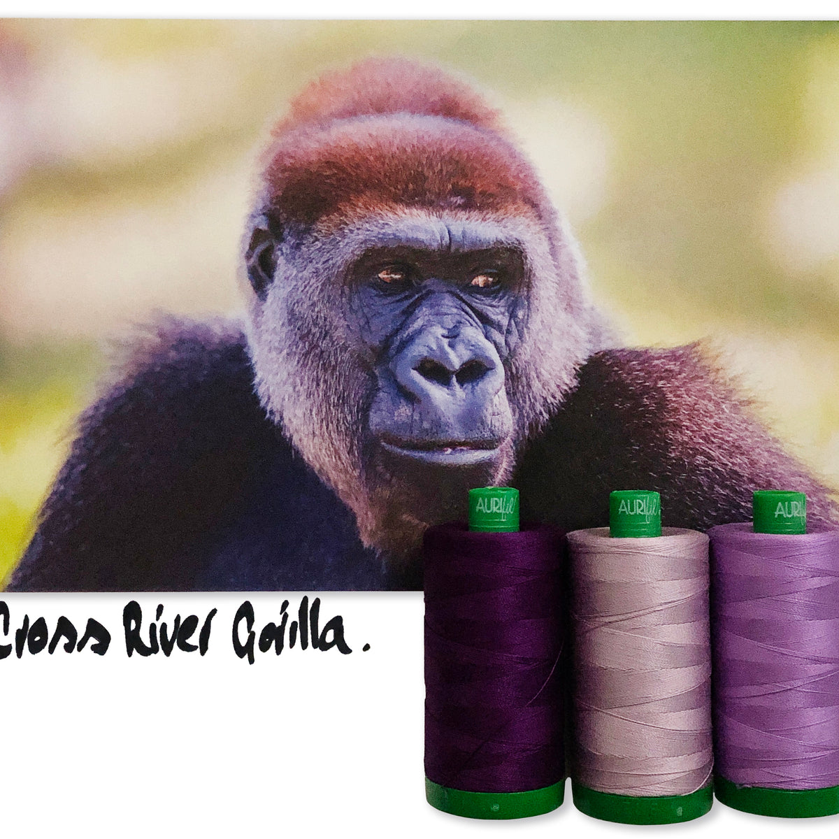 AURIFIL - ENDANGERED SPECIES COLOR BUILDER SUBSCRIPTION BOX 40WT ...